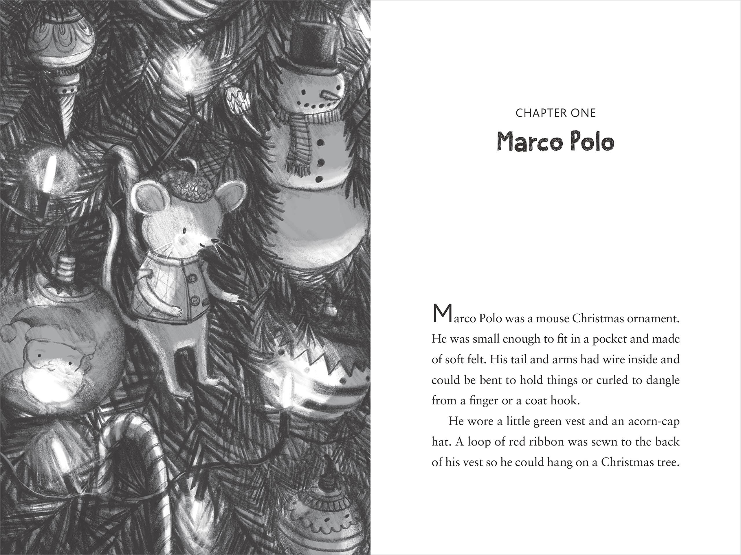 Book Buddies: Marco Polo, Brave Explorer (Book 2) | Natventure