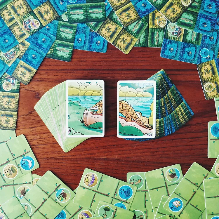 Rainforest City | Natventure