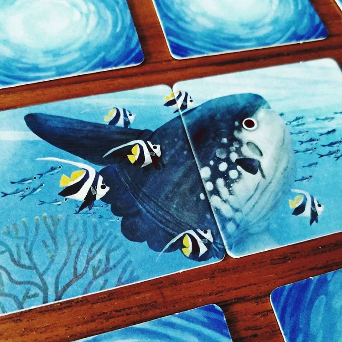 Reef Rescue | Natventure