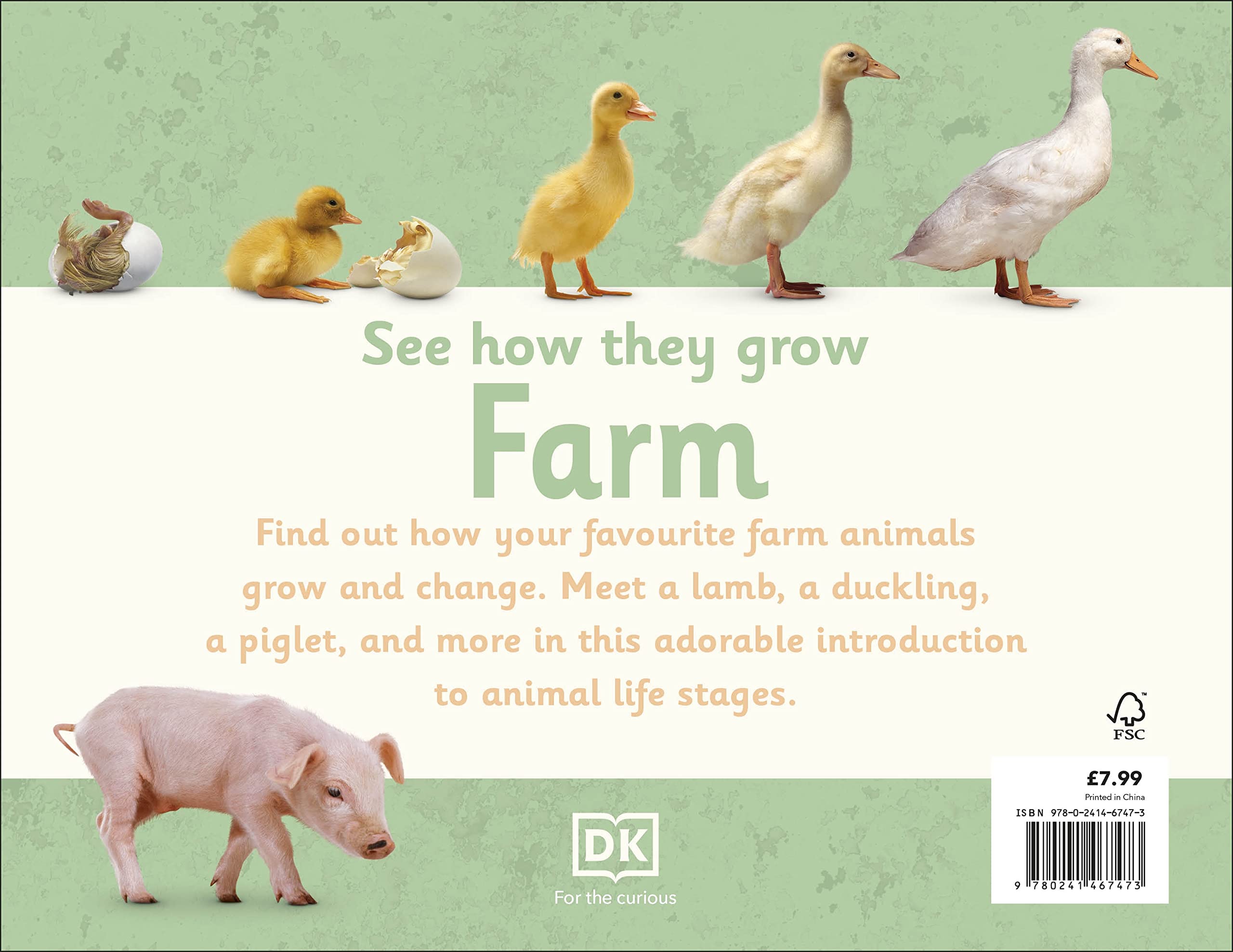 See How They Grow Farm | Natventure