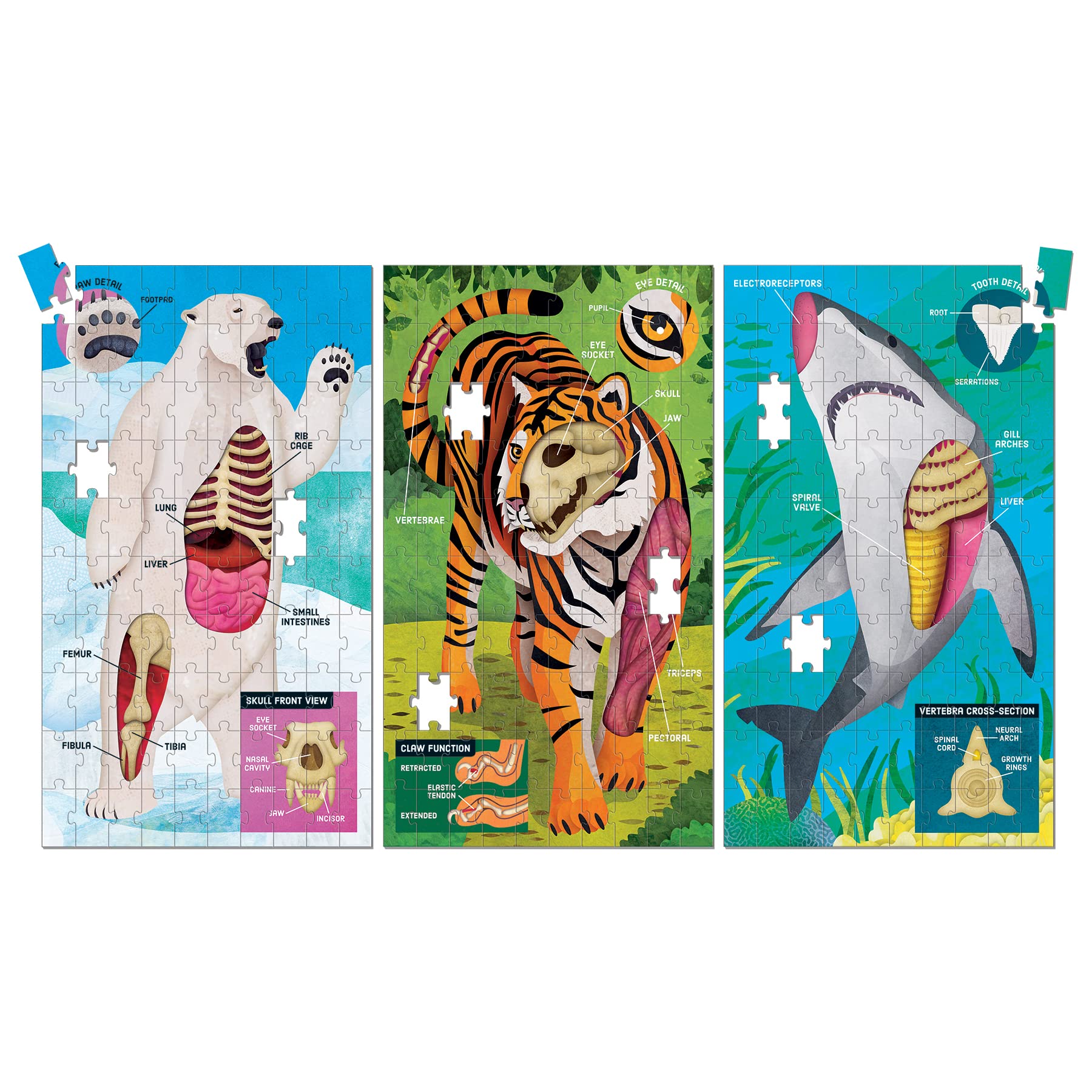 Science Puzzle Set: Animal Anatomy | Natventure