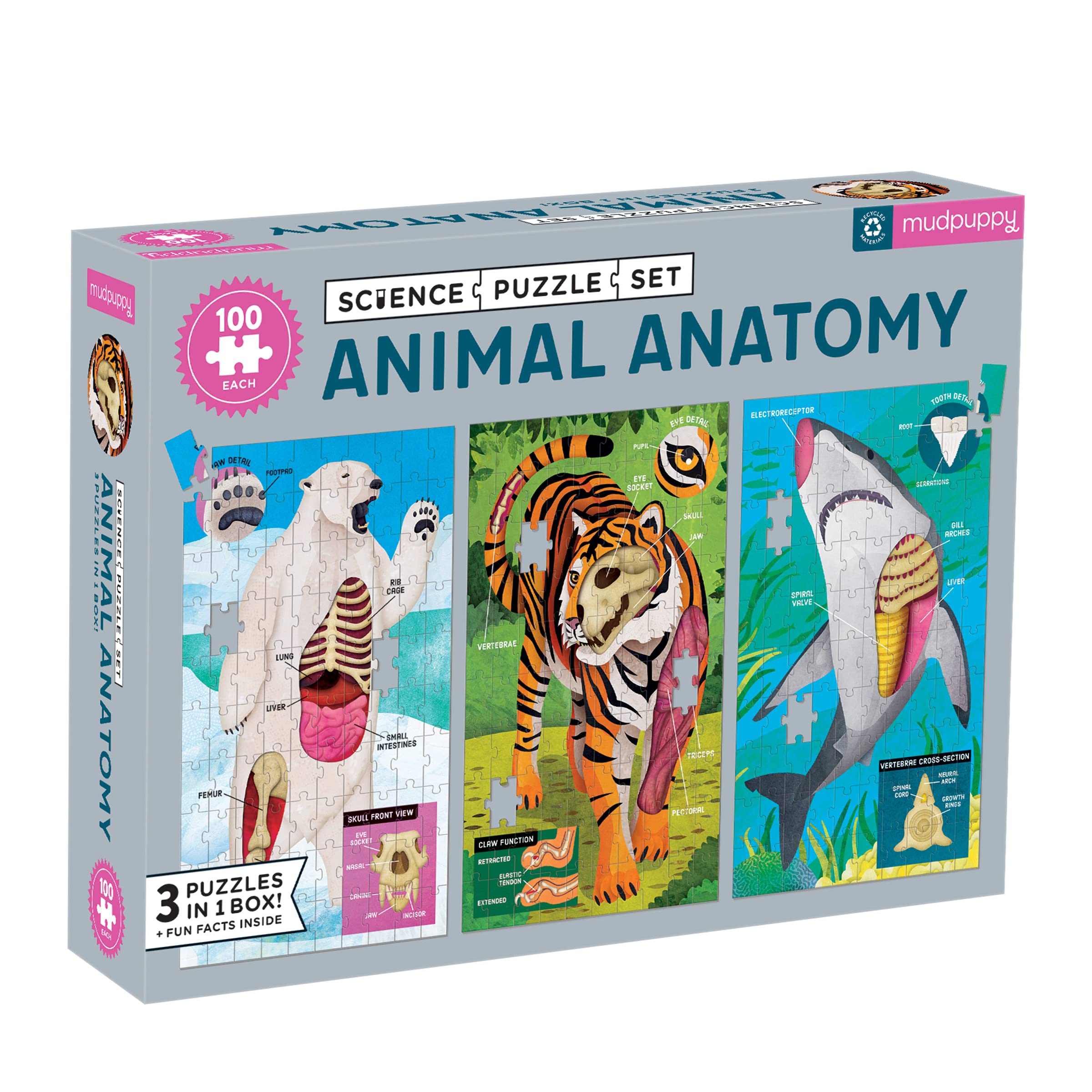 Science Puzzle Set: Animal Anatomy | Natventure