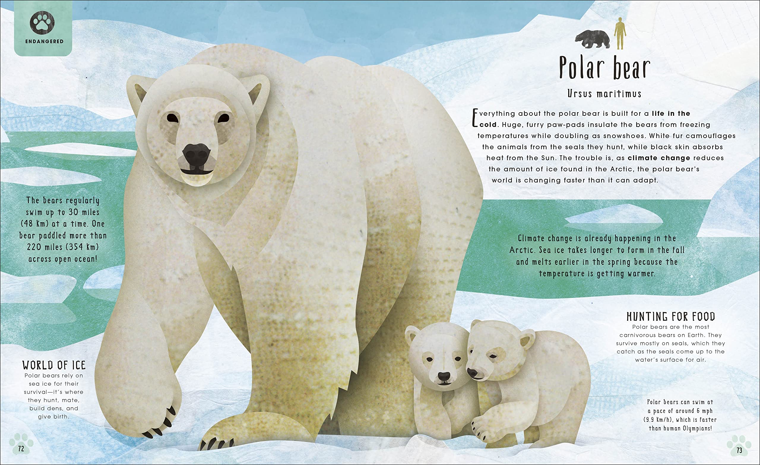 Animals Lost and Found: Stories of Extinction, Conservation and ...