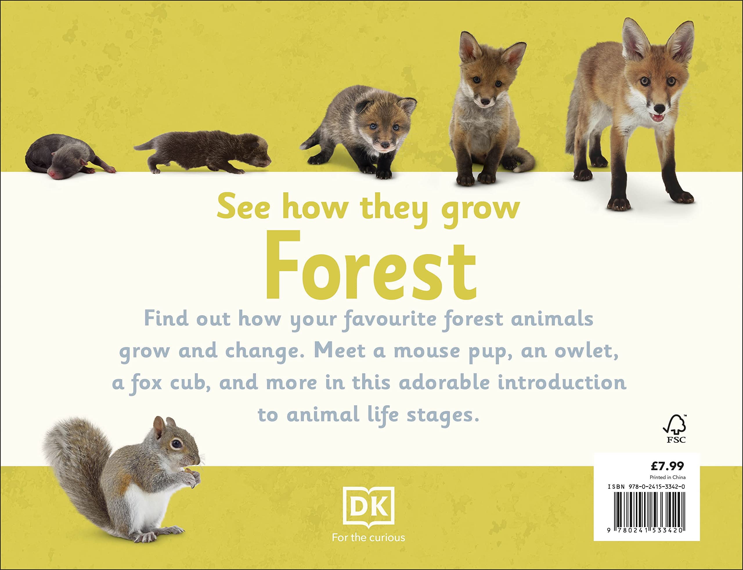 See How They Grow Forest | Natventure