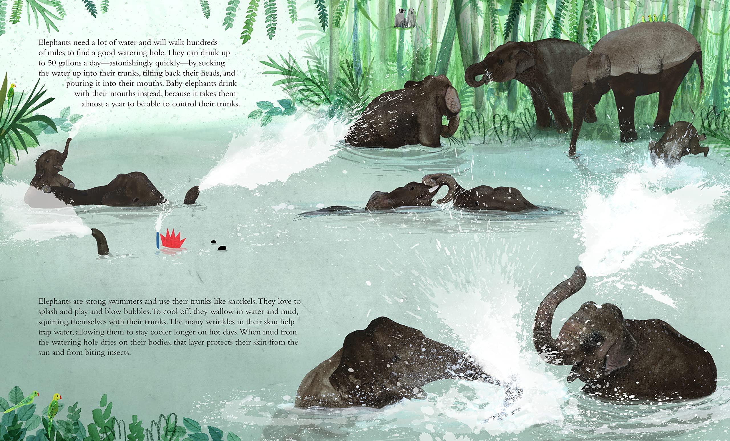 The Elephant | Natventure