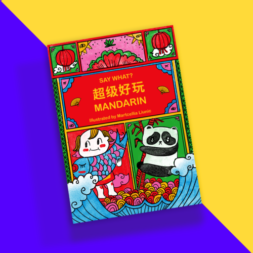 Say What? Learn Mandarin Card Game | Natventure