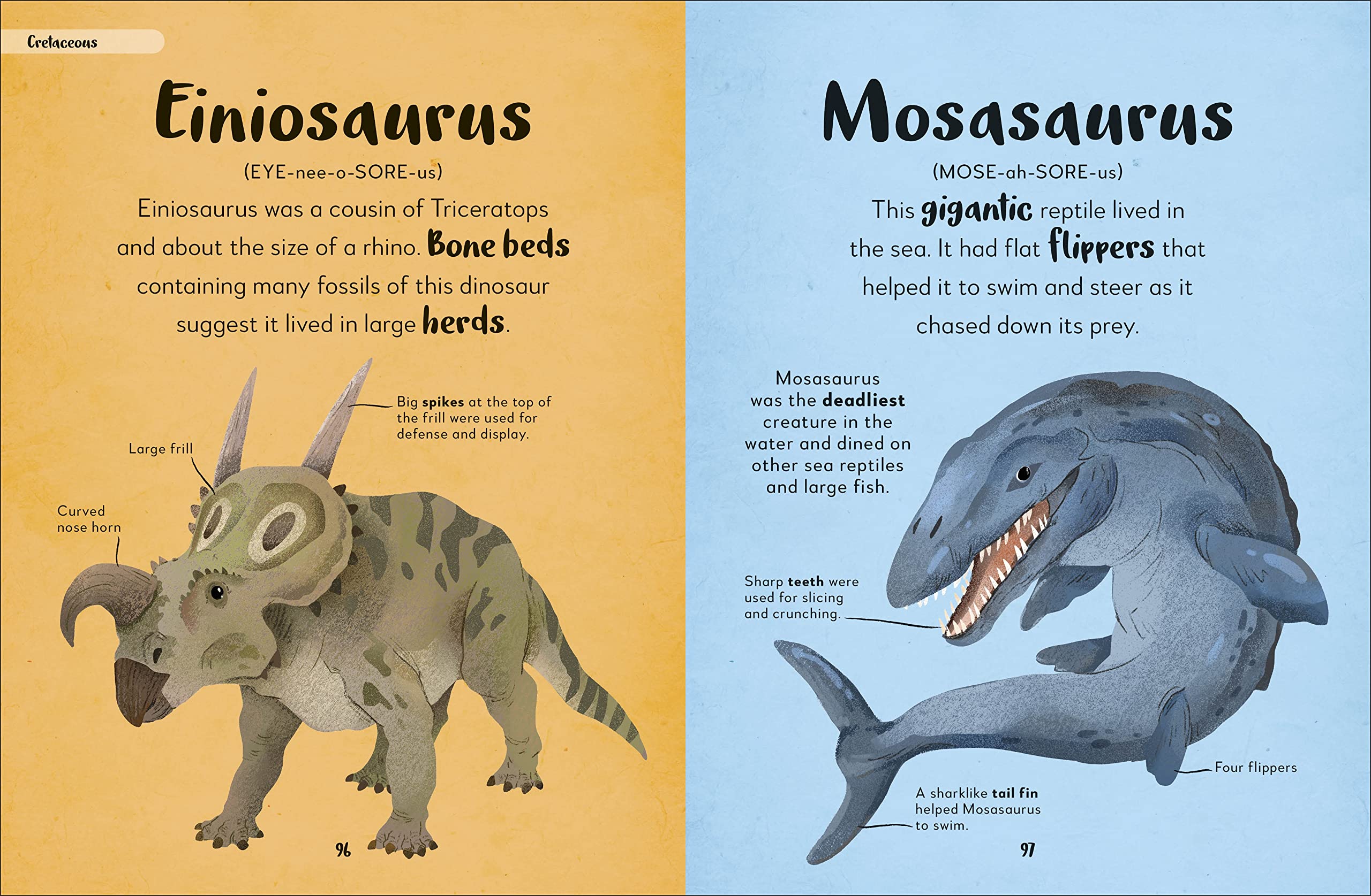 The Bedtime Book of Dinosaurs and Other Prehistoric Life | Natventure